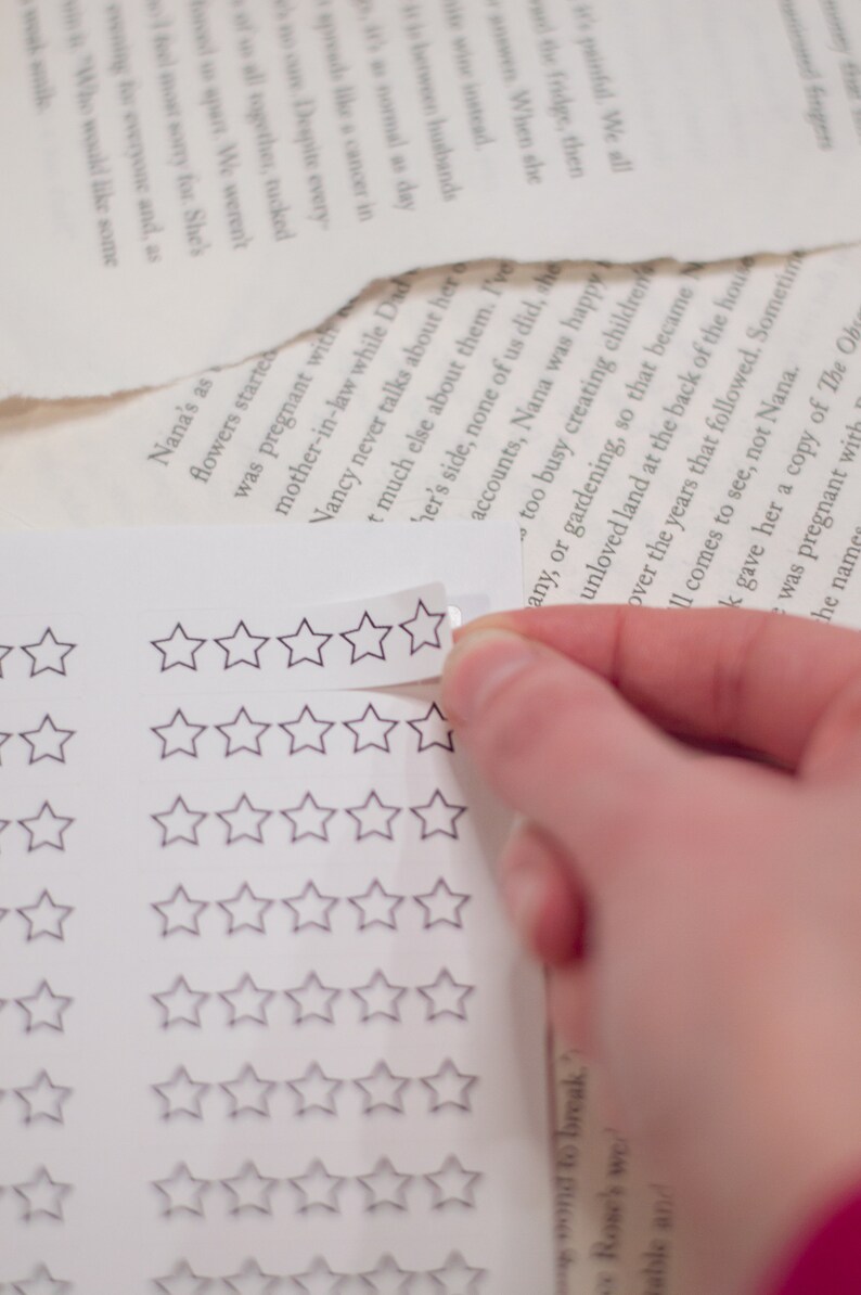 Book Star Rating Sticker Sheet Book Spice Rating Sticker - Etsy