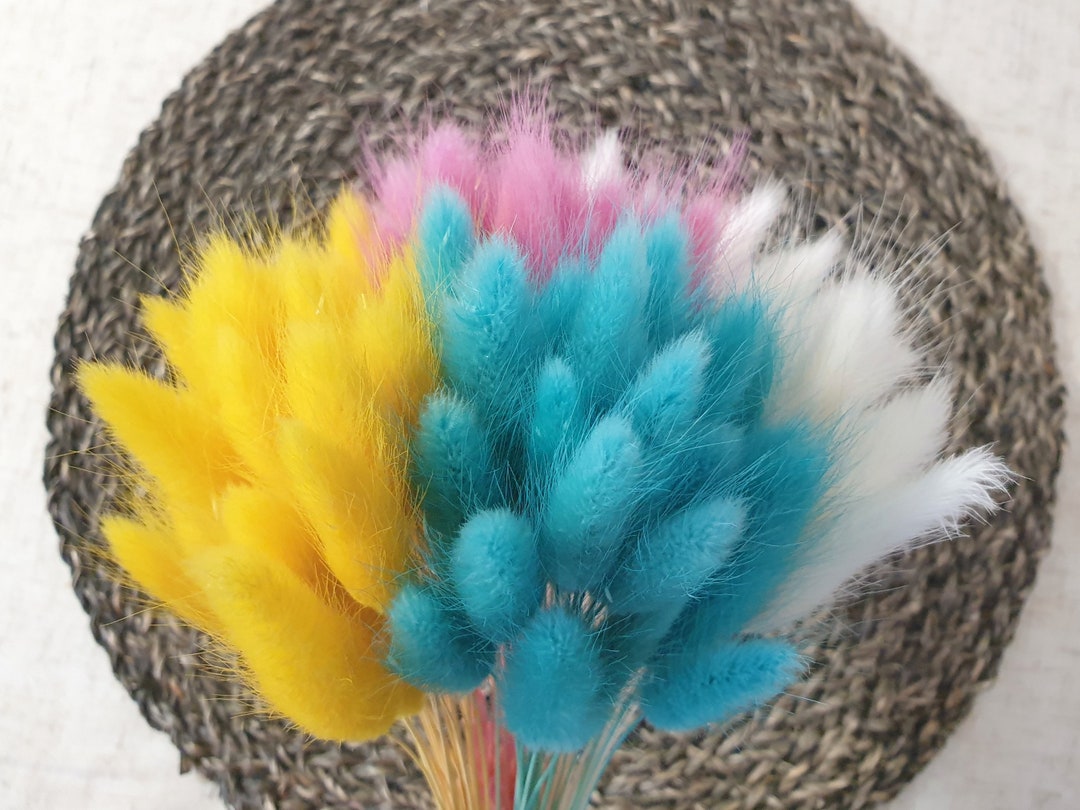 Dried Lagurus in Unicorn Colors Turquoise Blue, Lavender Pink, White ...