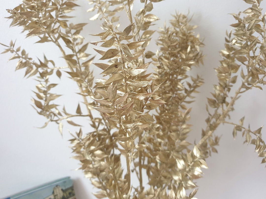 Preserved Ruscus Gold 5 Stems - Etsy