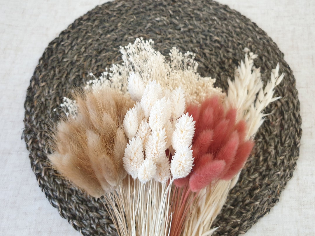 Assortment of White, Natural and Vintage Pink Dried Flowers White Broom ...