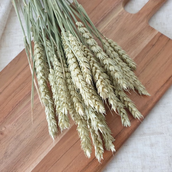 Dried Wheat - Etsy