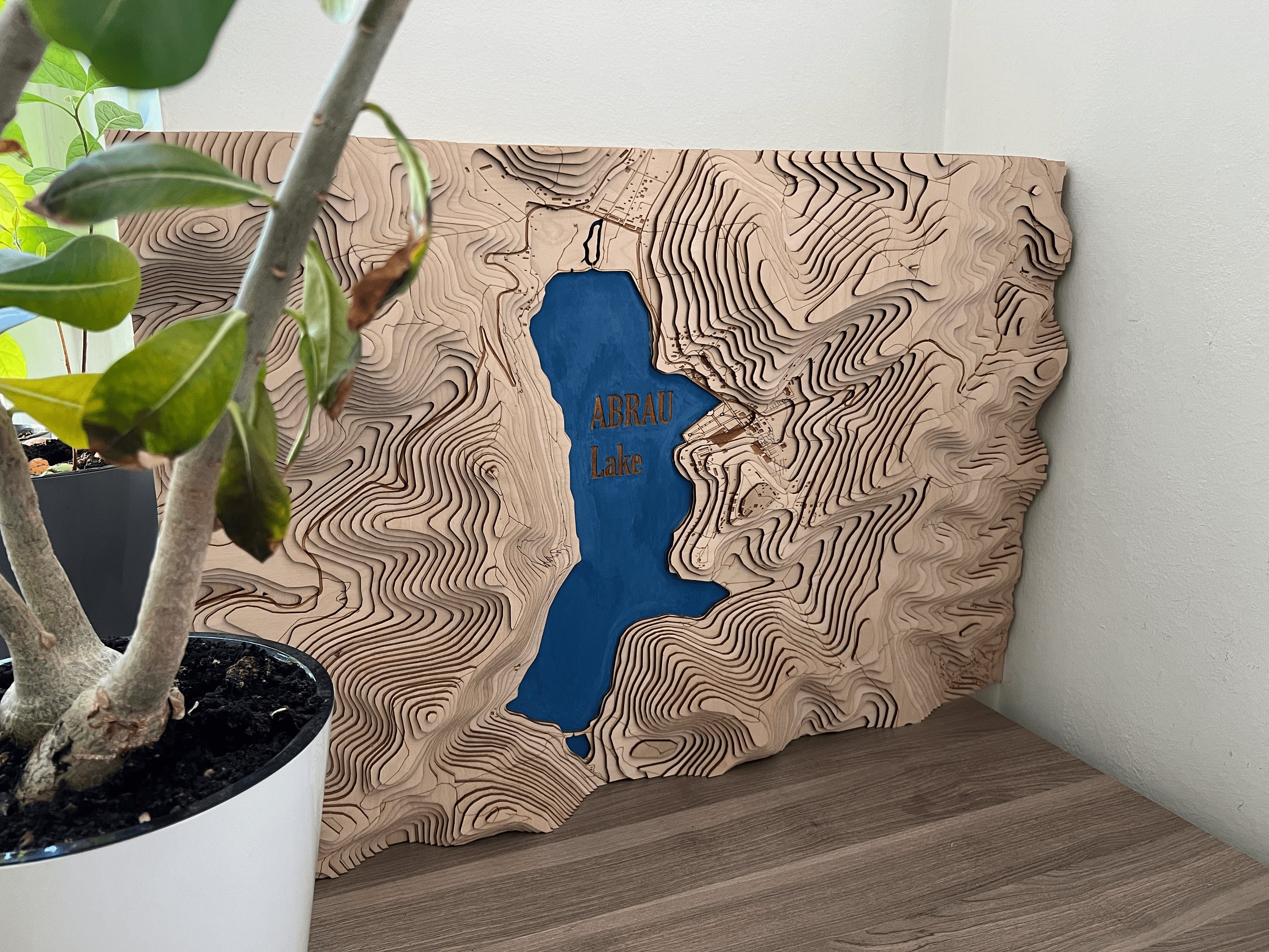 Custom 3d Topographic Lake Map Digital Laser Cut Drawings - Etsy