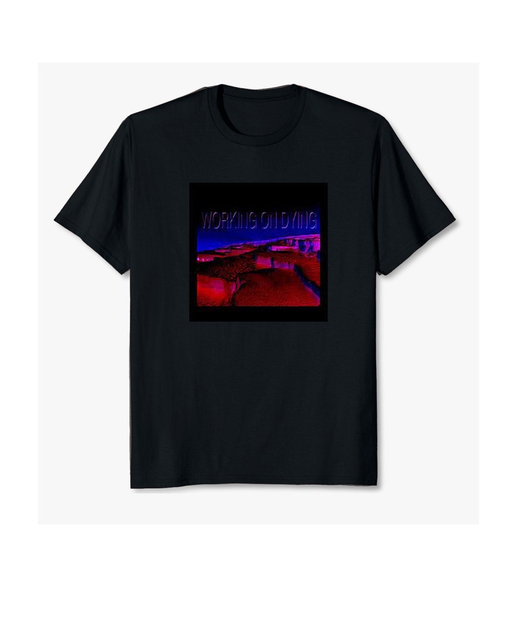 Working on Dying Shirt Mens and Womens, F1lthy, Bladee - Etsy