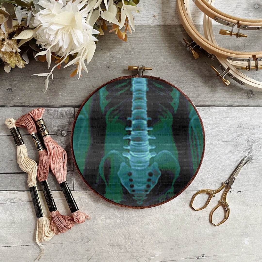 Xray Cross Stitch, Instant Download PDF, Modern X Stitch Pattern ...