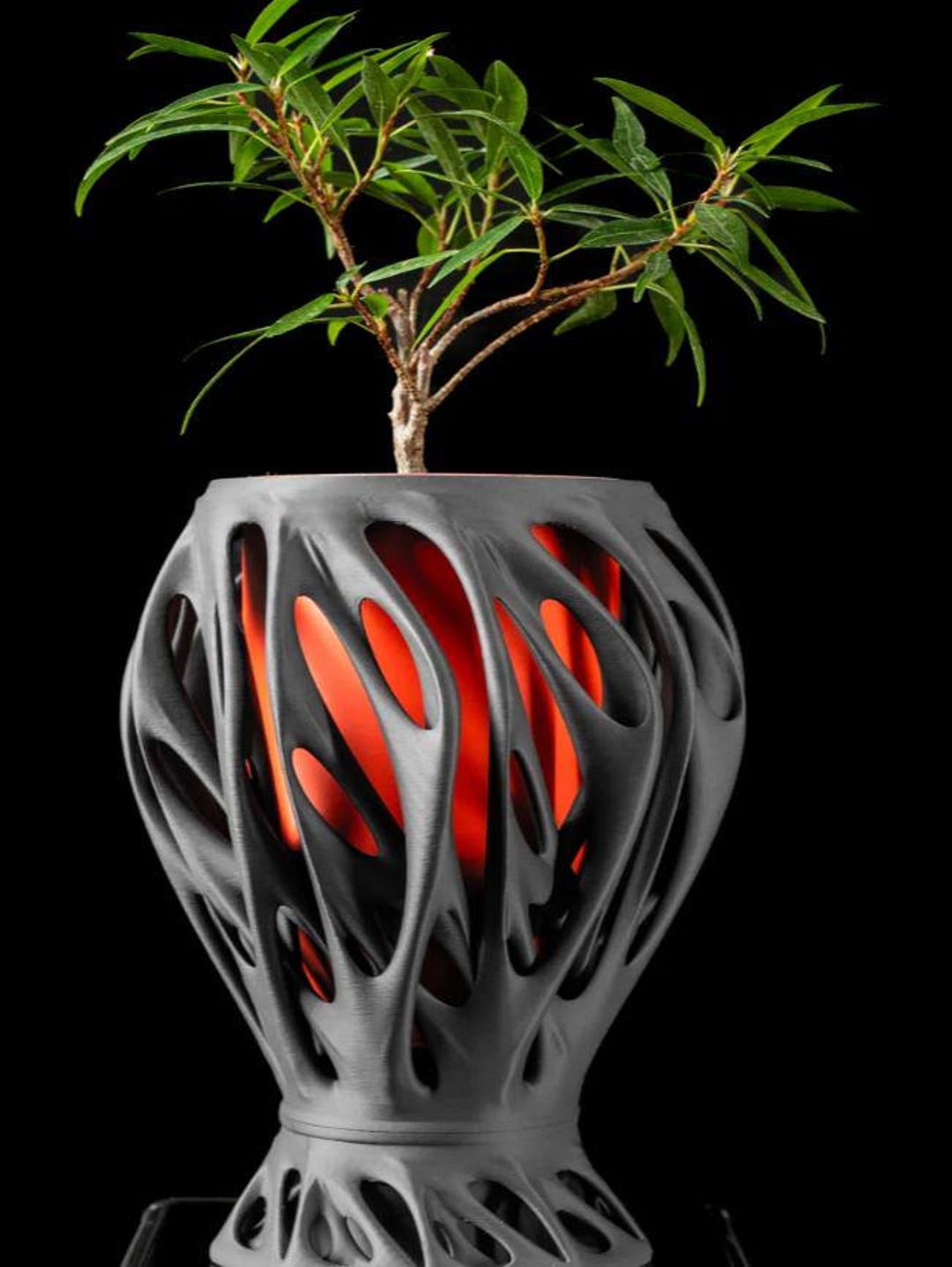 Mantis Planter Pot - Etsy