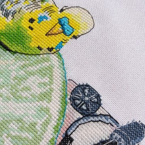 Budgie Cross Stitch Pattern Lime PDF Pattern Bird Embroidery Budgerigar ...