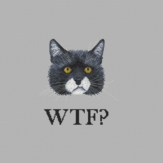 Wtf Funny Cat