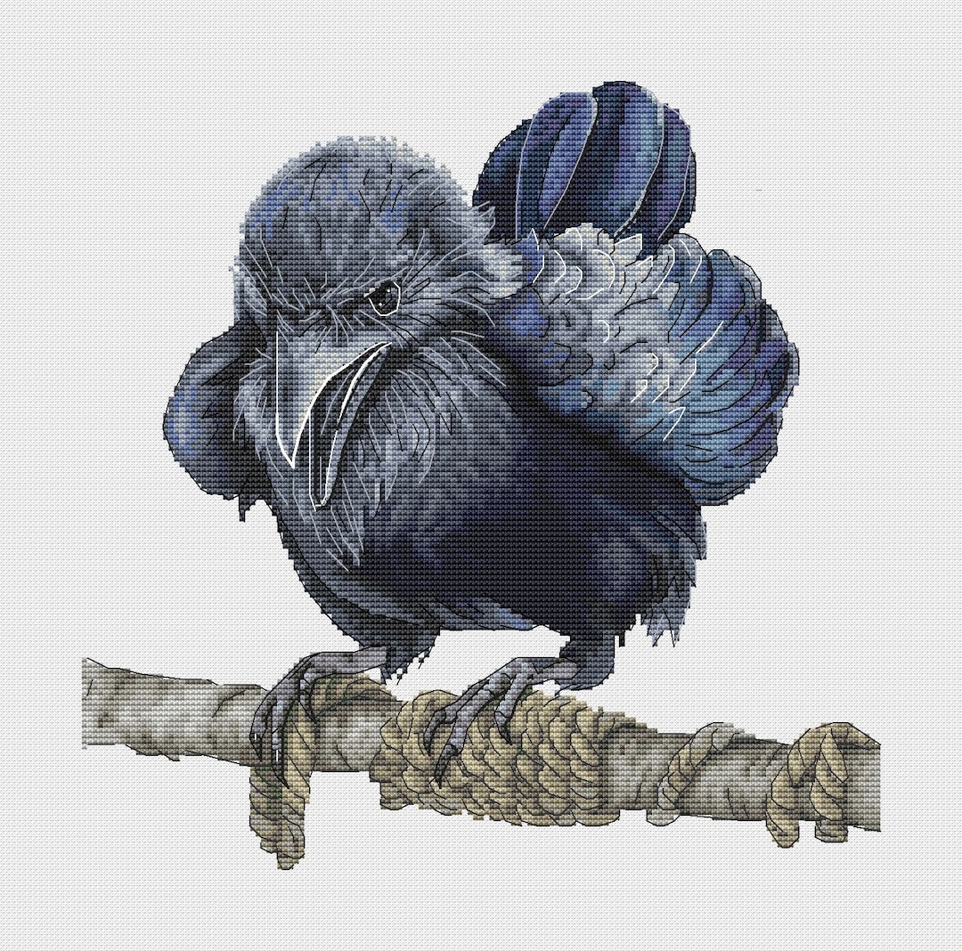 Raven Cross Stitch Pattern Bird PDF Pattern Crow Embroidery Black Bird ...