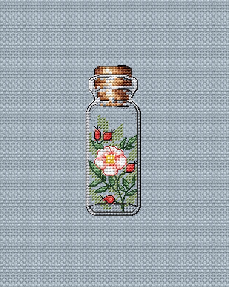 Rose Hip Cross Stitch Pattern Bottle Pattern Flower PDF - Etsy