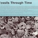 Fossils Through Time, Paleontology Educational Science Chart ...