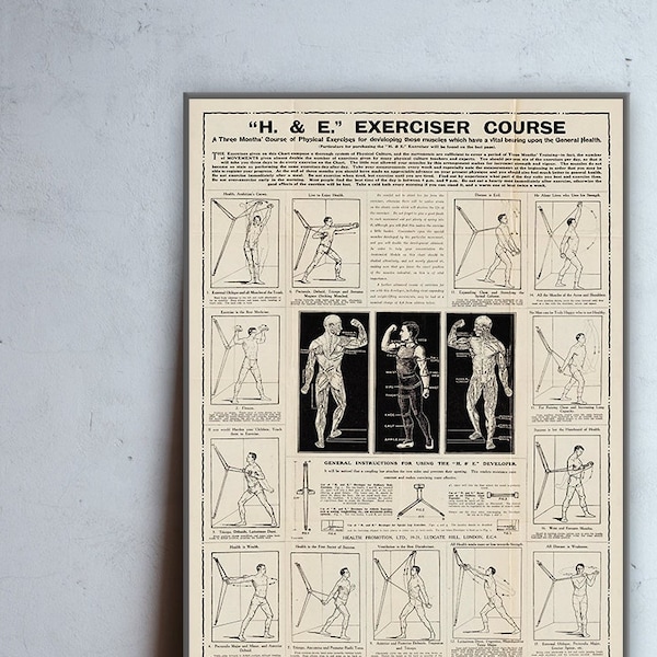 Muscle Fitness Poster - Etsy