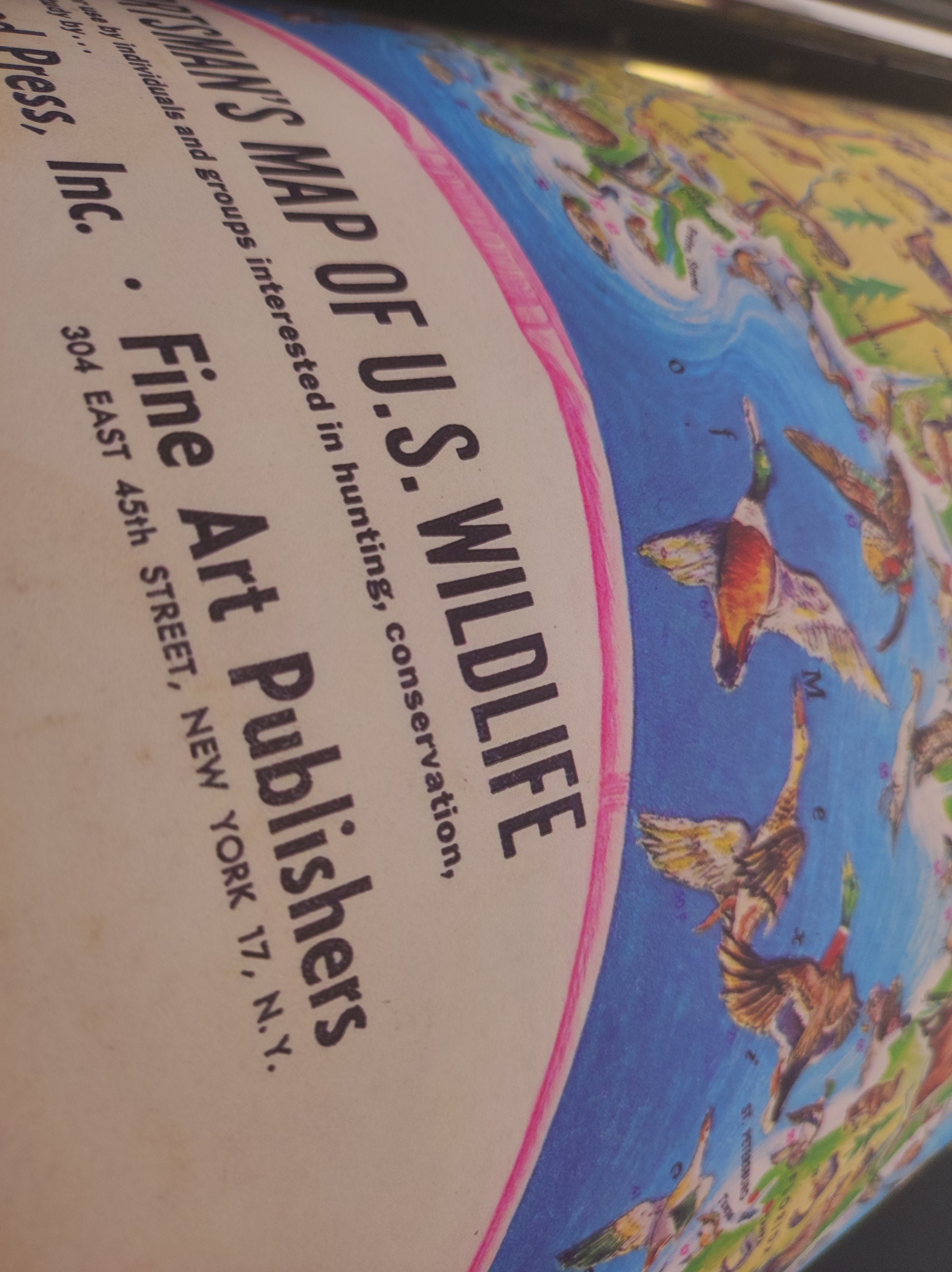 Pictorial Map of Wildlife and Game in the United States, Mammals and ...