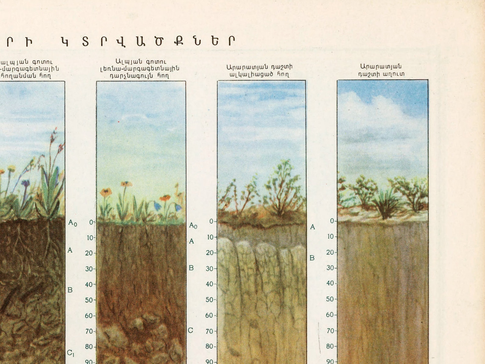 Vintage Soil Types Poster: 1960s Agronomy Wall Art - Etsy