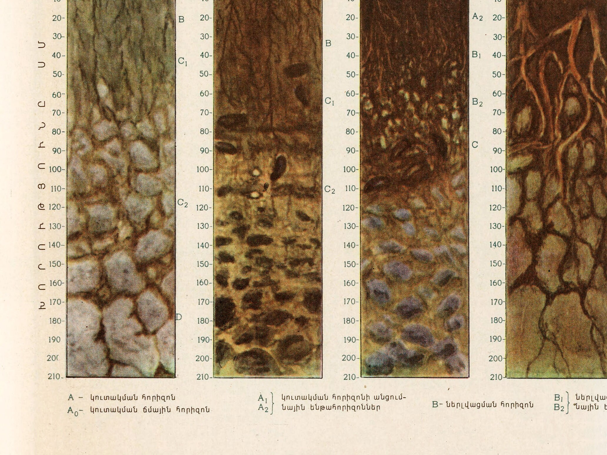 Vintage Soil Types Poster: 1960s Agronomy Wall Art - Etsy