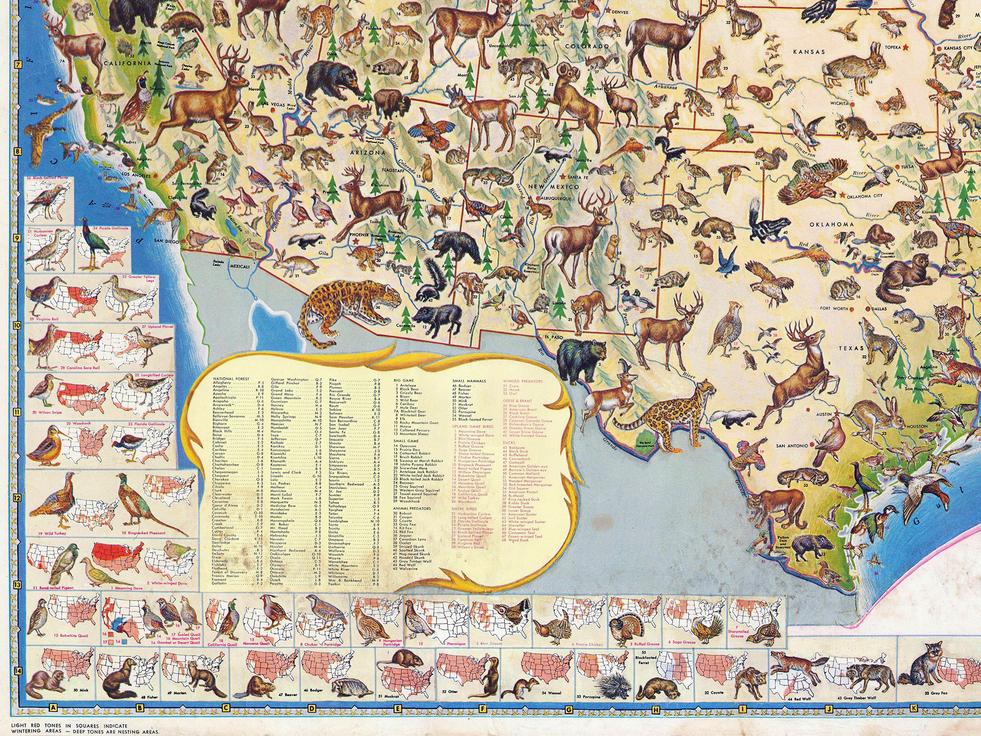 Pictorial Map of Wildlife and Game in the United States, Mammals and ...