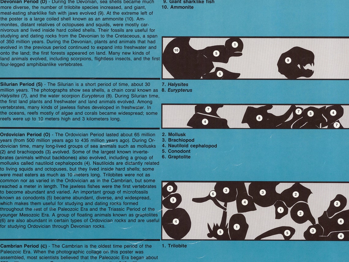 Fossils Through Time, Paleontology Educational Science Chart ...