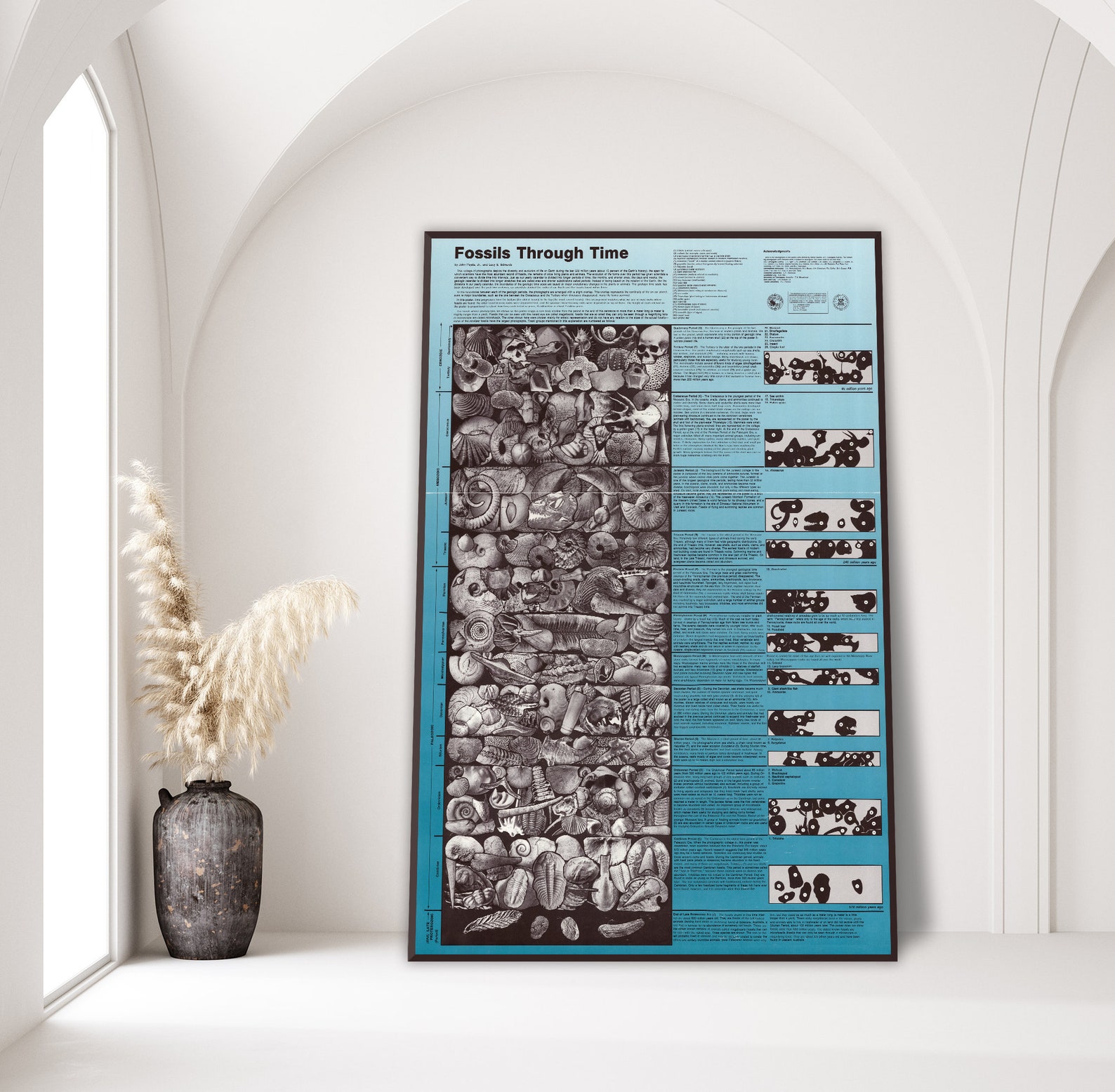 Fossils Through Time, Paleontology Educational Science Chart ...