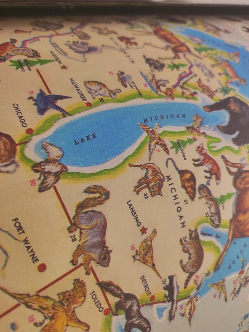 Pictorial Map of Wildlife and Game in the United States, Mammals and ...