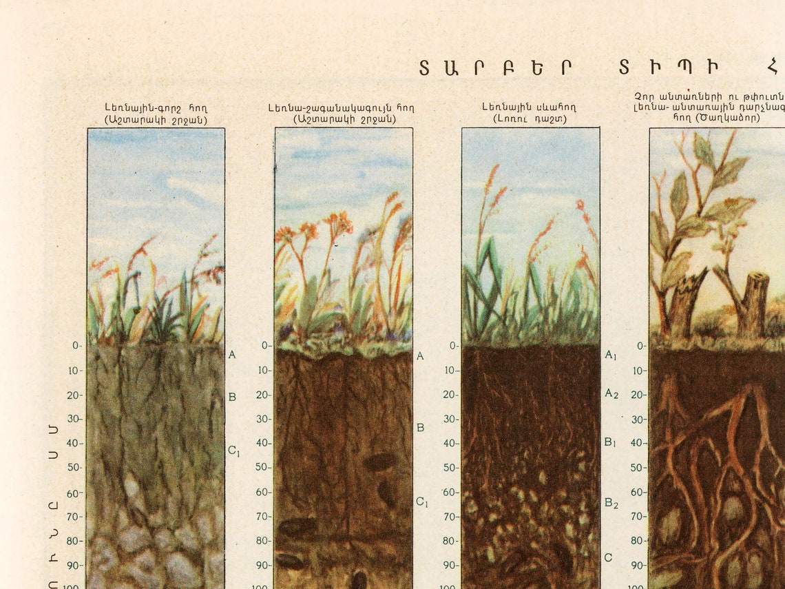 Vintage Soil Types Poster: 1960s Agronomy Wall Art - Etsy Australia