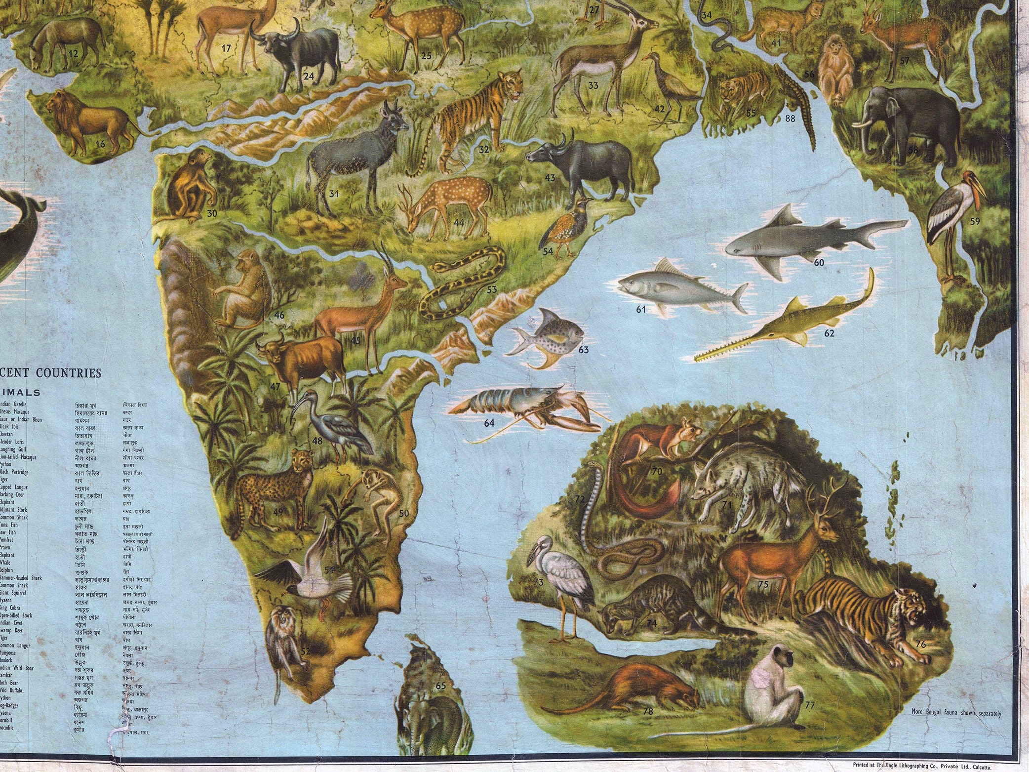 Pictorial Wall Map of India Illustrating Animals, India Map Art, Fauna ...