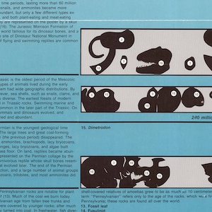 Fossils Through Time, Paleontology Educational Science Chart ...