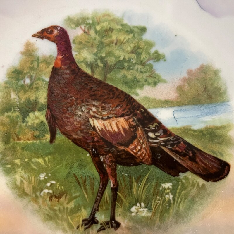 Turkey Plates - Etsy