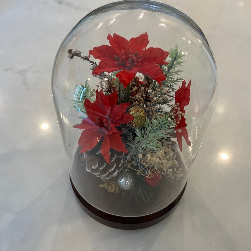Glass Dome Display - Etsy