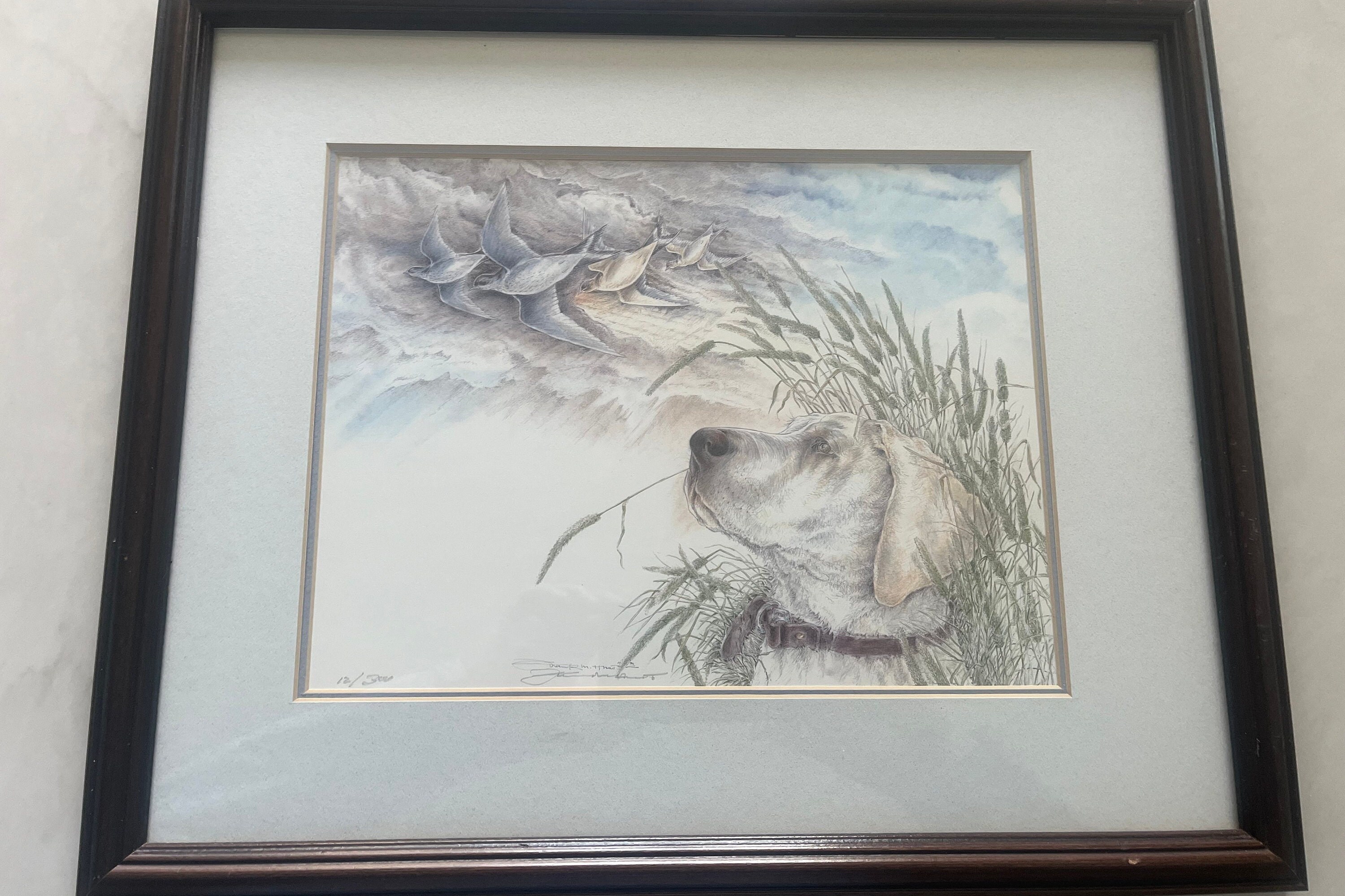 Vintage Signed Numbered Lithograph Frank Hnat Labrador - Etsy