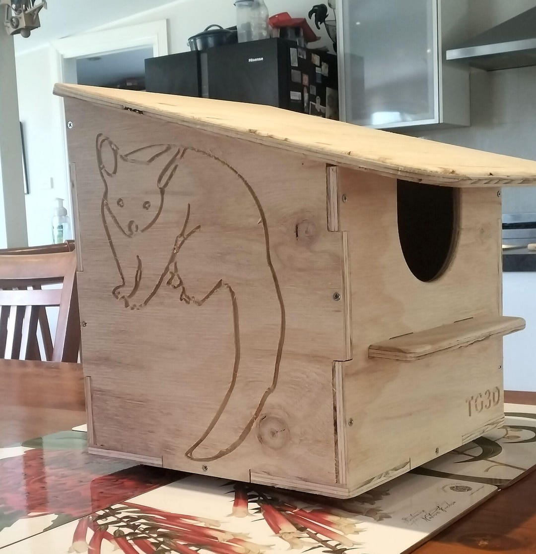Brushtail Possum Box - Etsy