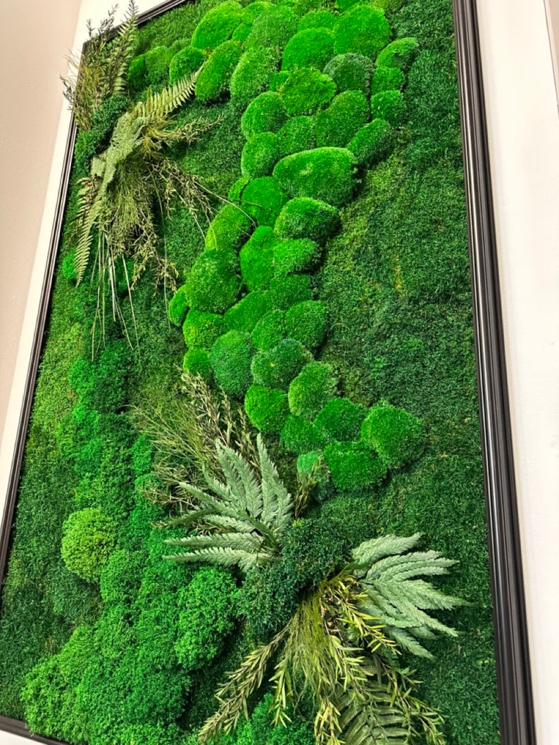 Picture of Stabilized Moss and Plants - Etsy
