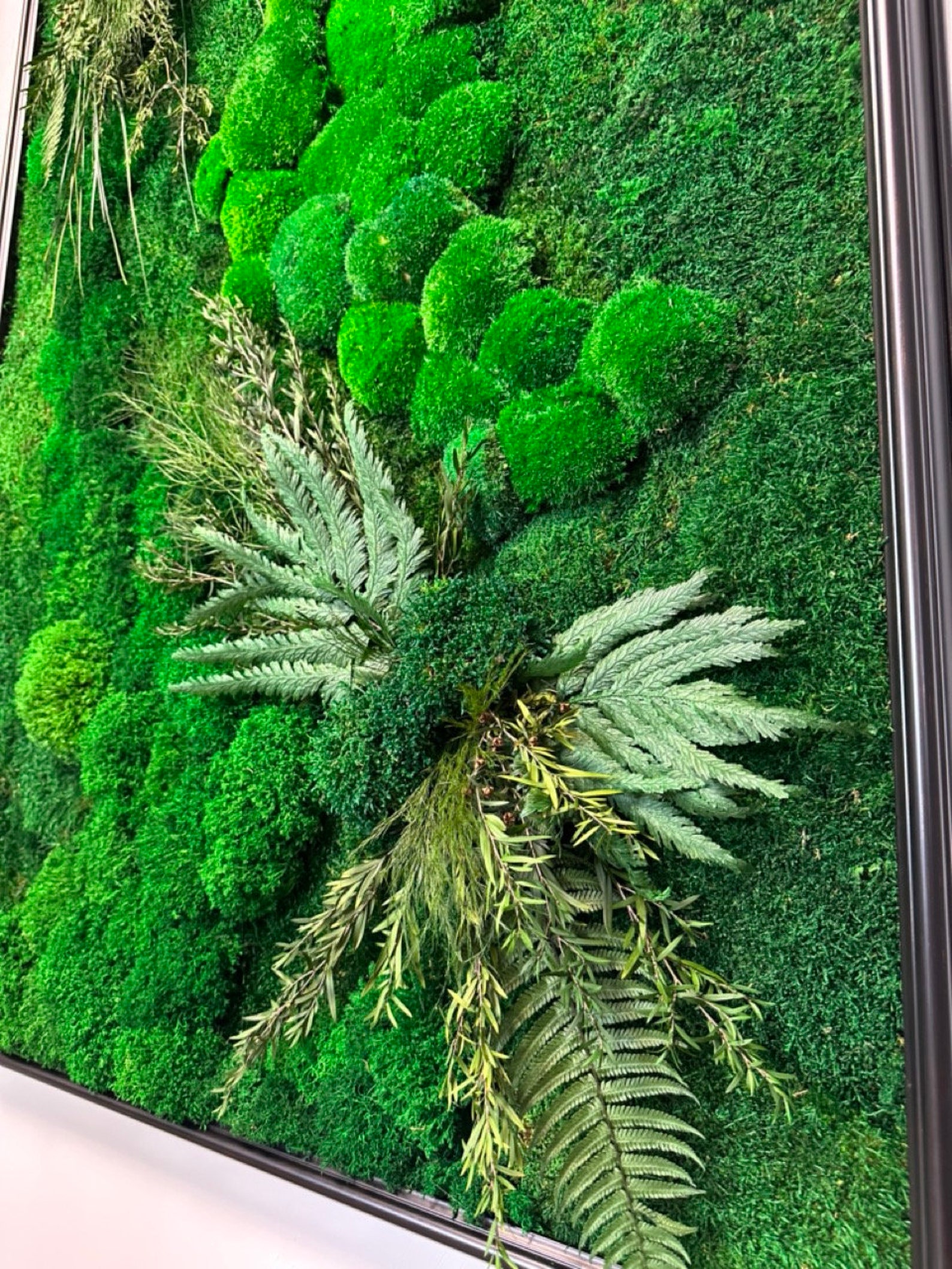 Picture of Stabilized Moss and Plants - Etsy