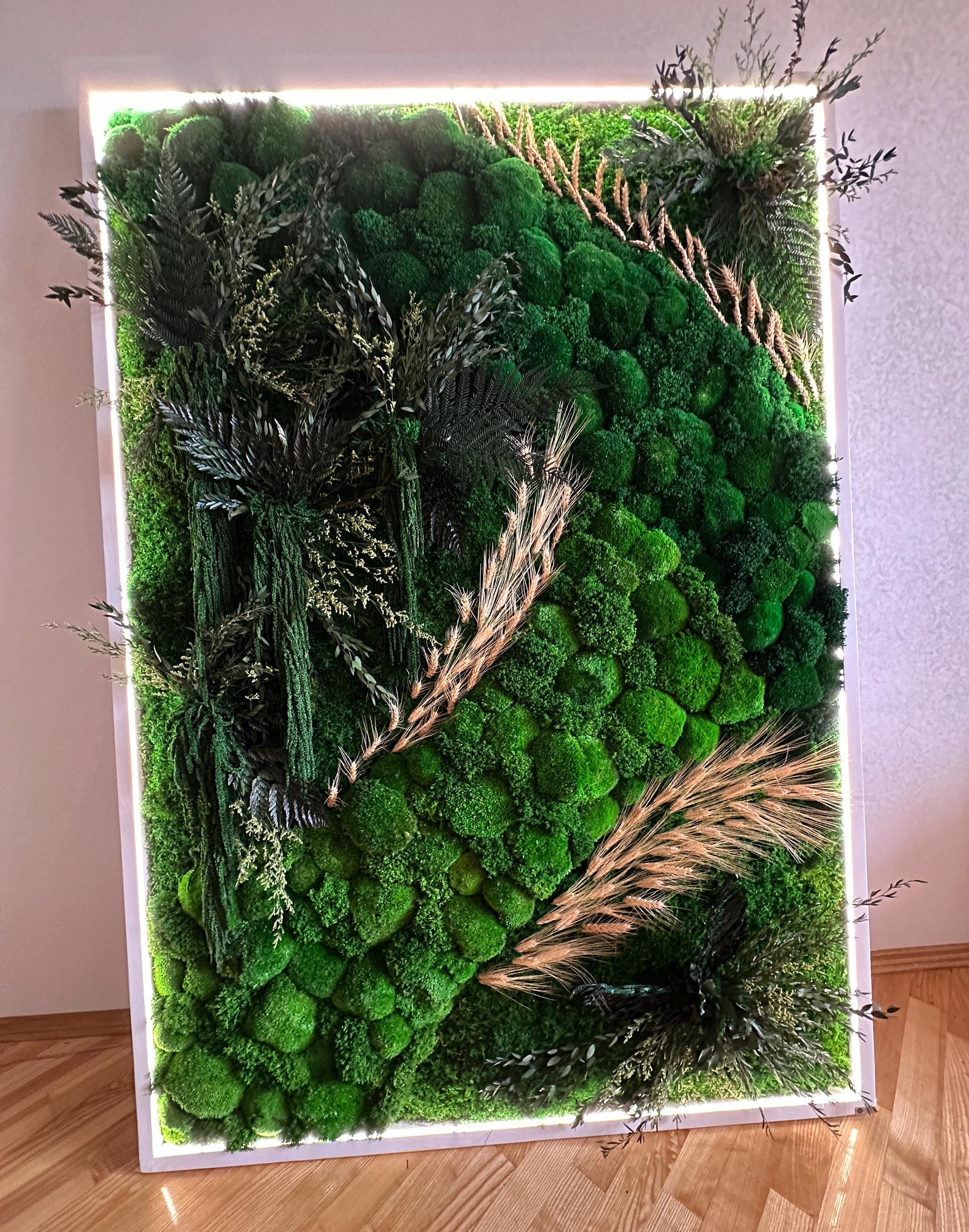 Stabilized Moss Panel, Wooden Moss Wall Art, Moss Wood Sign, Eco Wall ...