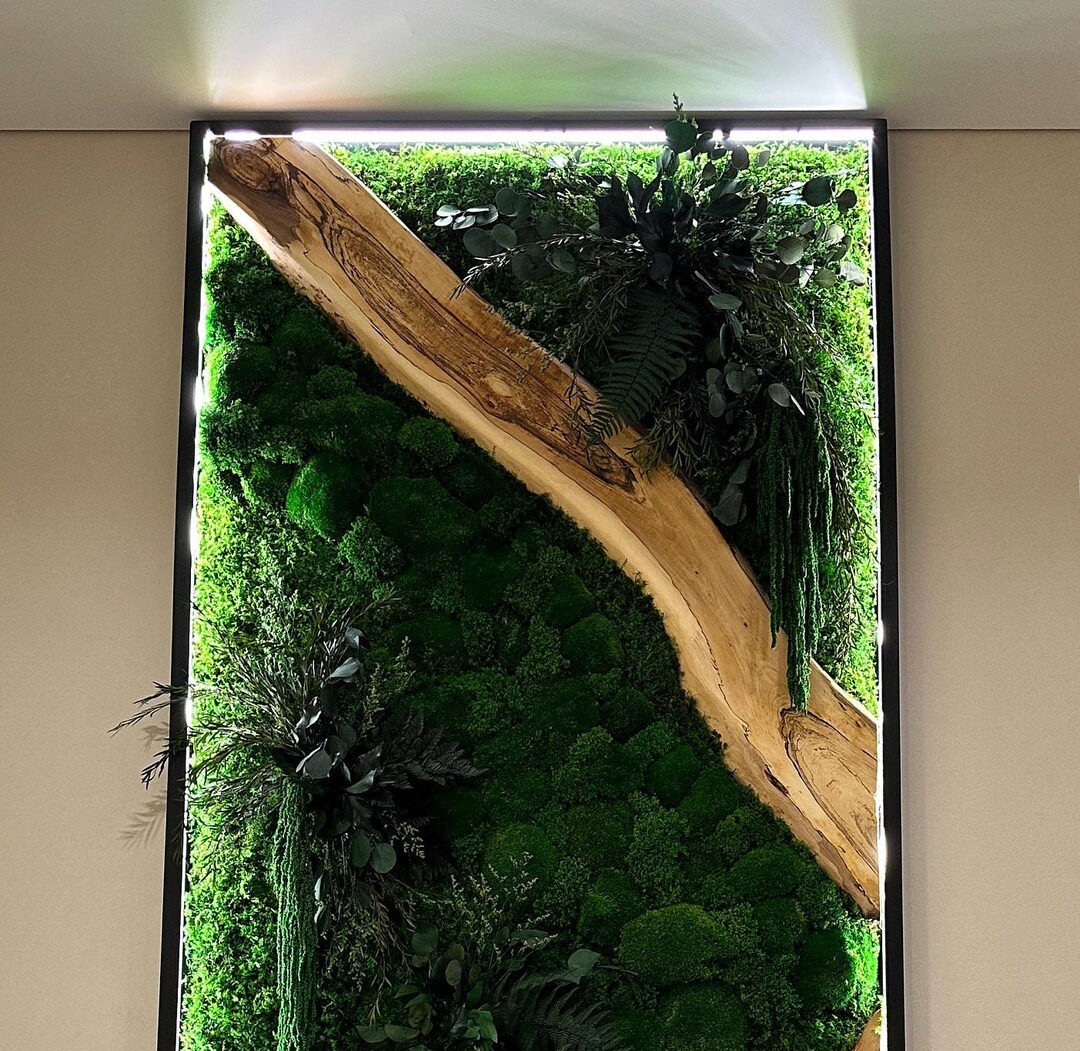 LED Stabilized Moss Panel, Led Moss Wall Art, Wood Moss Wall Panels, Moss Wood Sign, Light Wall ...