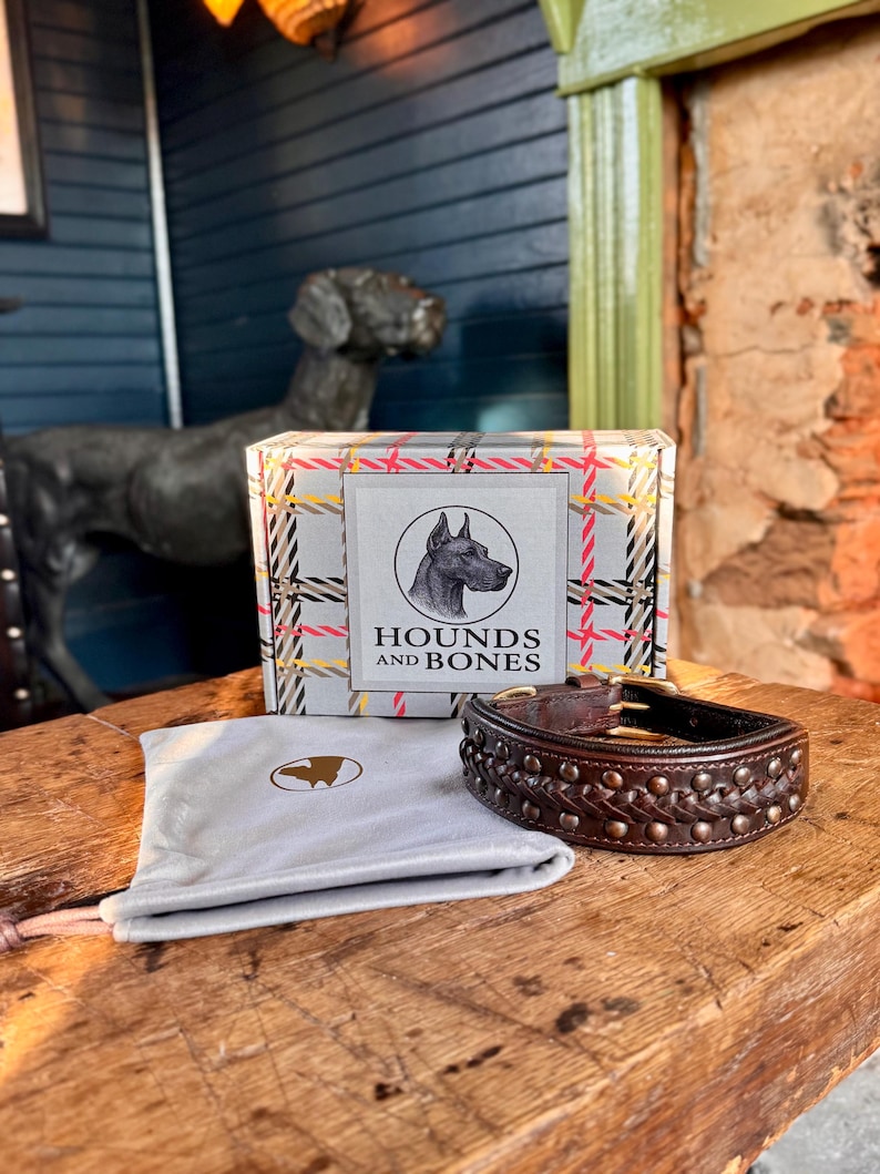 Leather Dog Collar – Bridle Leather, Braided Band, Brass Hardware ...