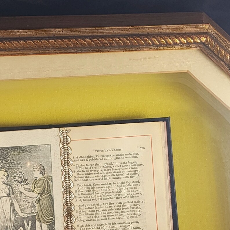 Vintage Shadowbox Shakespeare Poetry Venus and Adonis Greek Mythology ...
