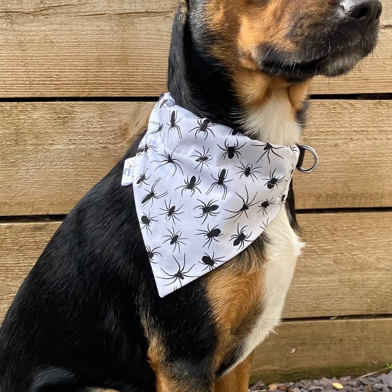 Dog Spiders Costume - Etsy