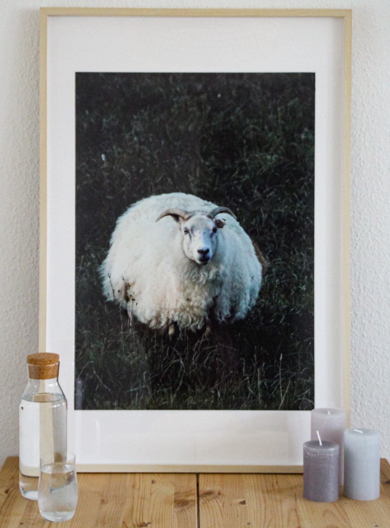 Iceland Sheep (poster) - Etsy