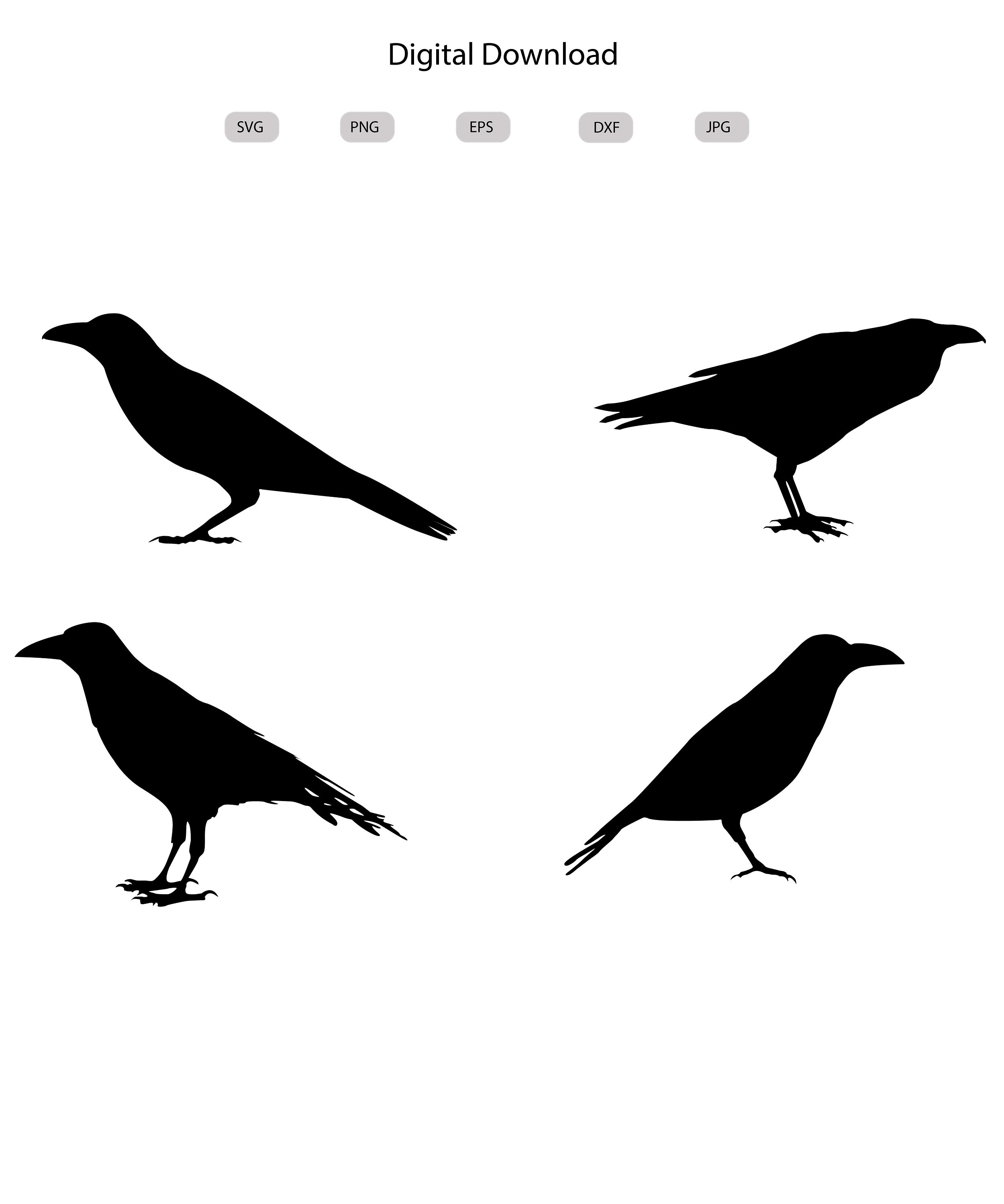 Crow Svg Crow Silhouette Crow Svg Bundle crow Svg Design - Etsy