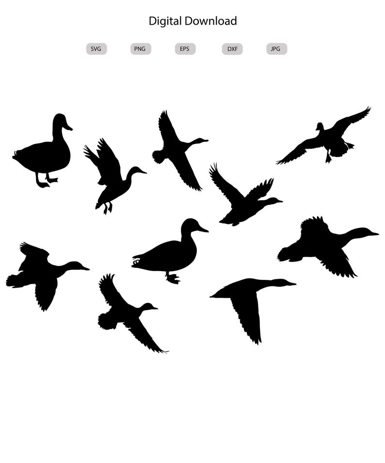 Mallard Duck Svg-duck Silhouette-mallard Svg Bundle-duck Svg Design ...