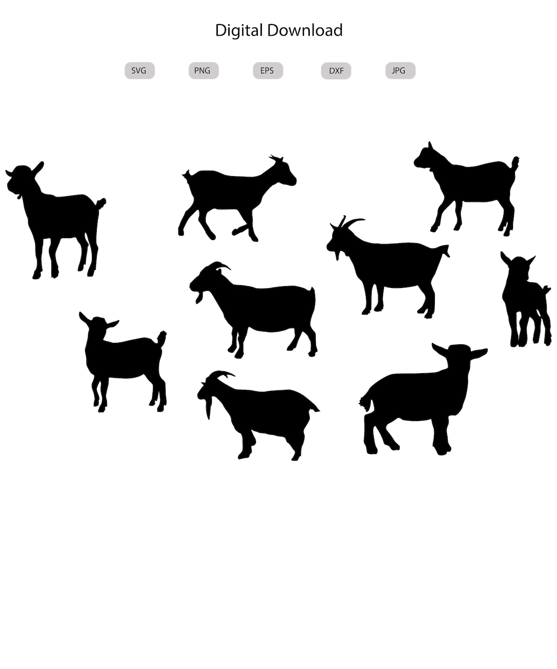 Pygmy Goats Svg - Pygmy Goats Silhouette - Pygmy Goats Svg Bundle ...