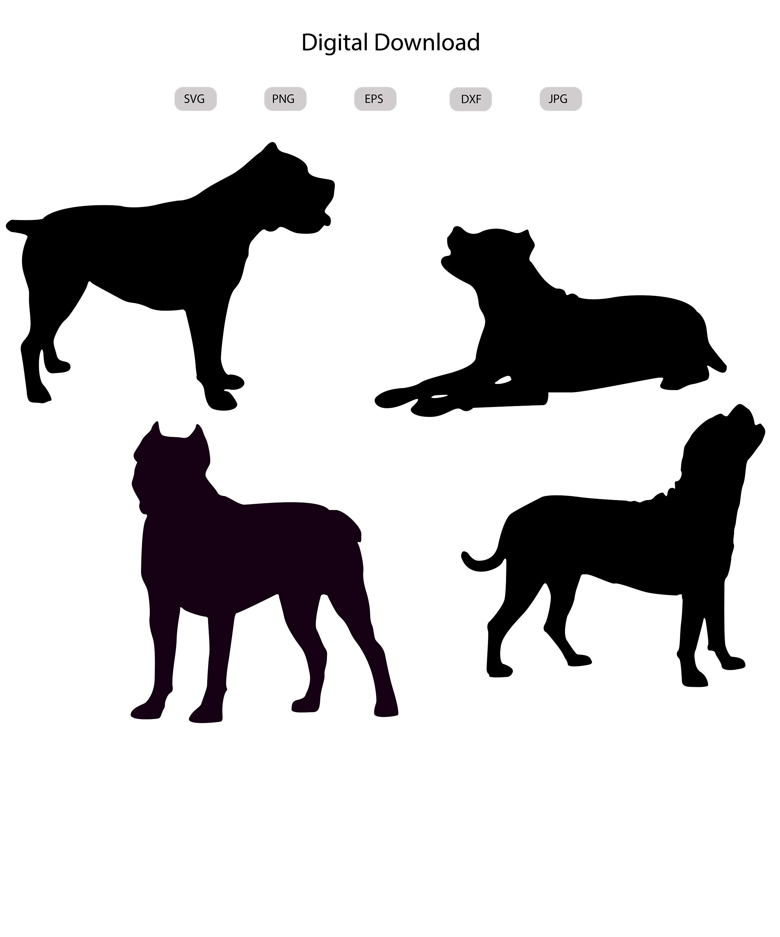 Cane Corso Svg Cane Corso Silhouette cane Corso Svg Bundle - Etsy