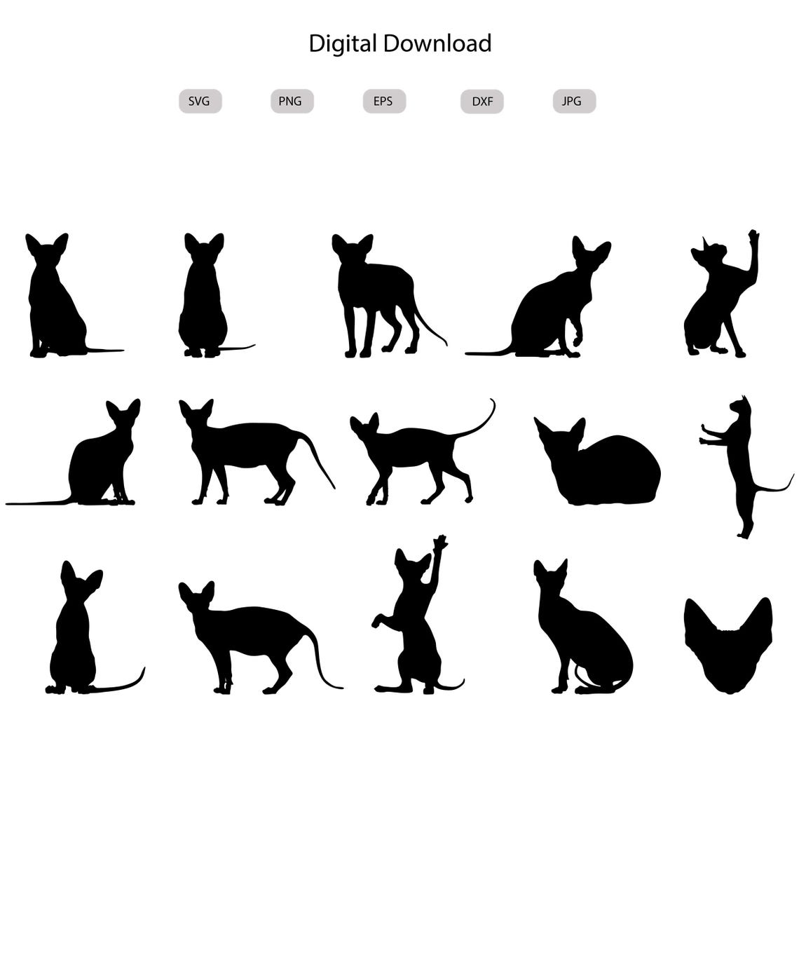 Sphynx Cat Svg - Sphynx Cat Silhouette - Sphynx Cat Svg Bundle -sphynx ...