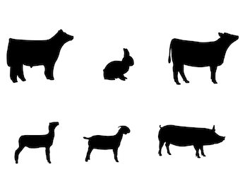 Fair Animal Clipart Png