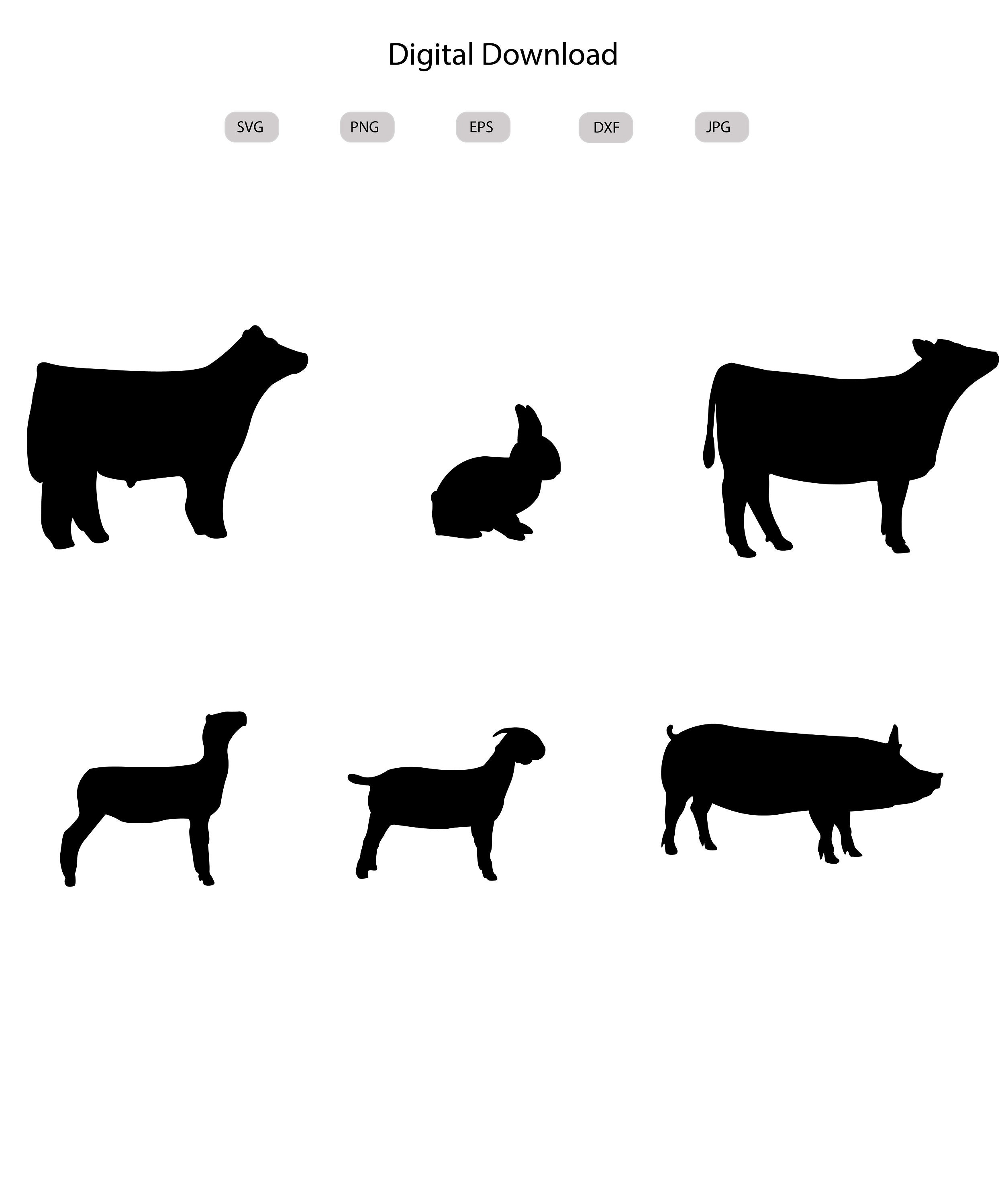 Show Animal Svg - Show Animal Silhouette - Show Animal Svg Bundle ...