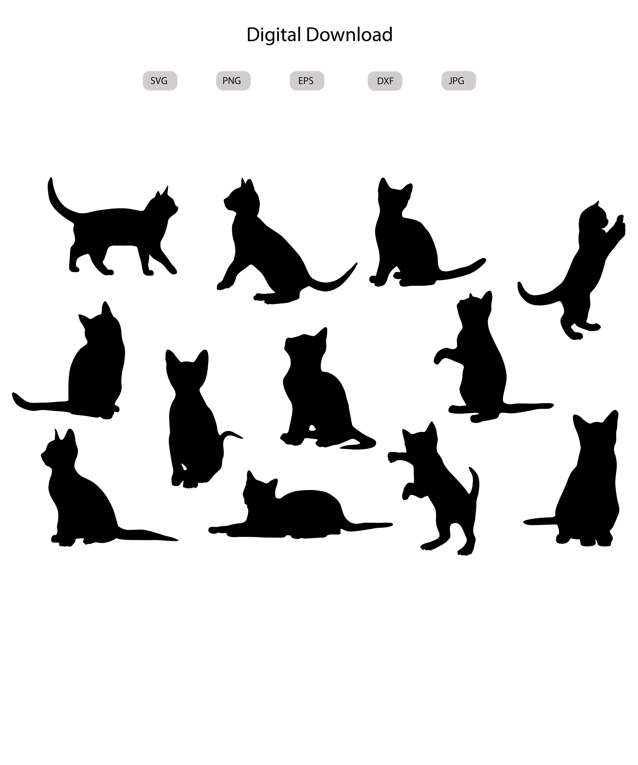 Cat Svg Cat Silhouette Cat Svg Bundle cat Svg Design Cat Cut File Cat ...