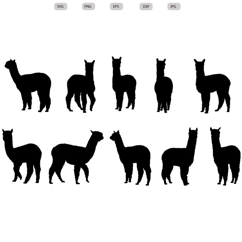 Alpaca Svg - Etsy