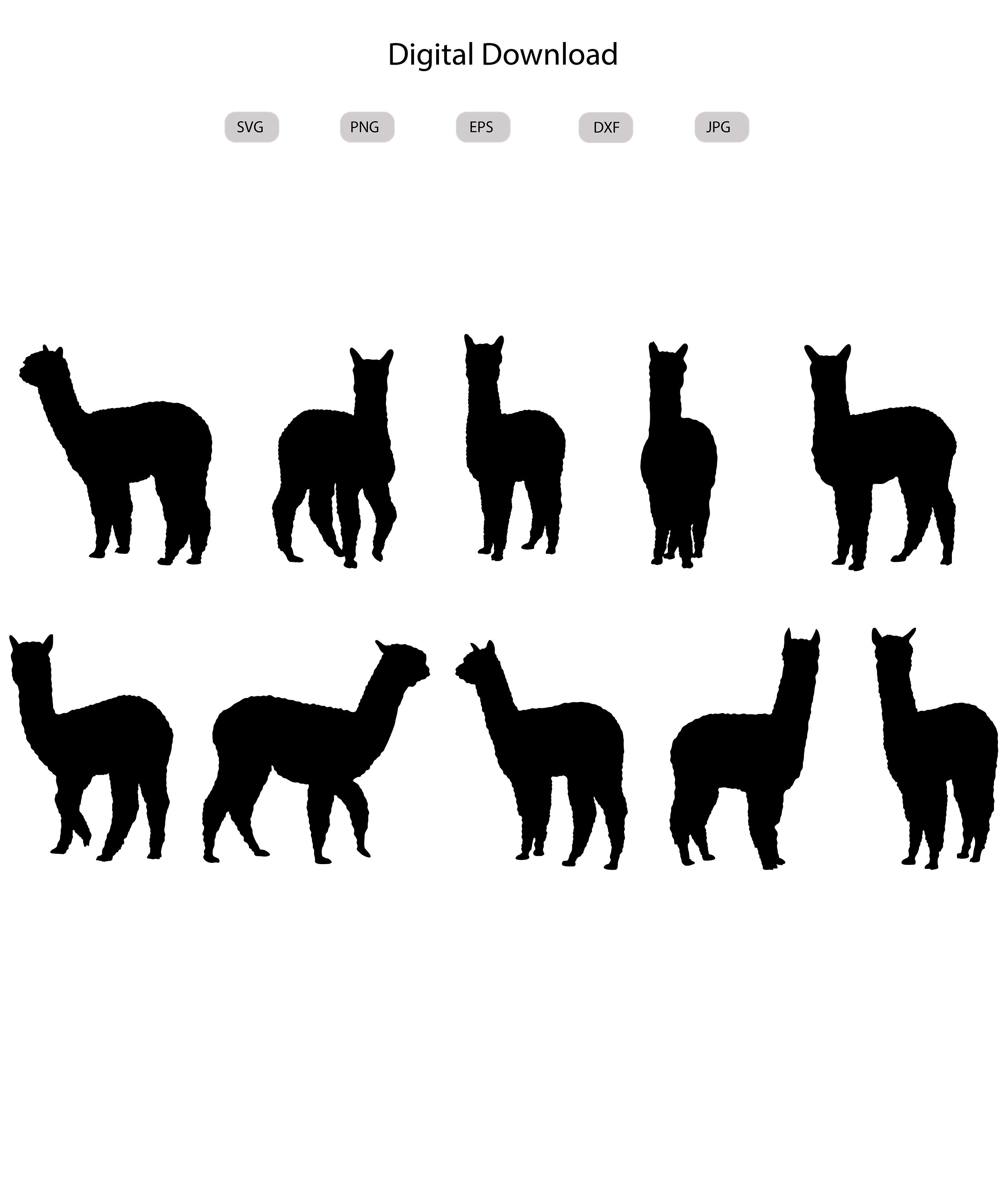 Alpaca Svg - Alpaca Silhouette - Alpaca Svg Bundle -alpaca Svg Design ...