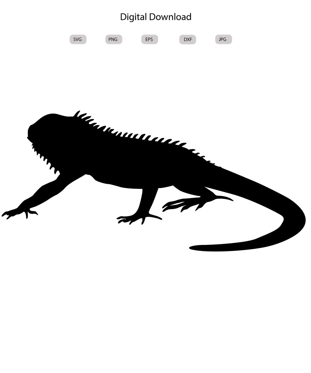 Iguana Svg - Iguana Silhouette - Iguana Svg Bundle -iguana Svg Design ...