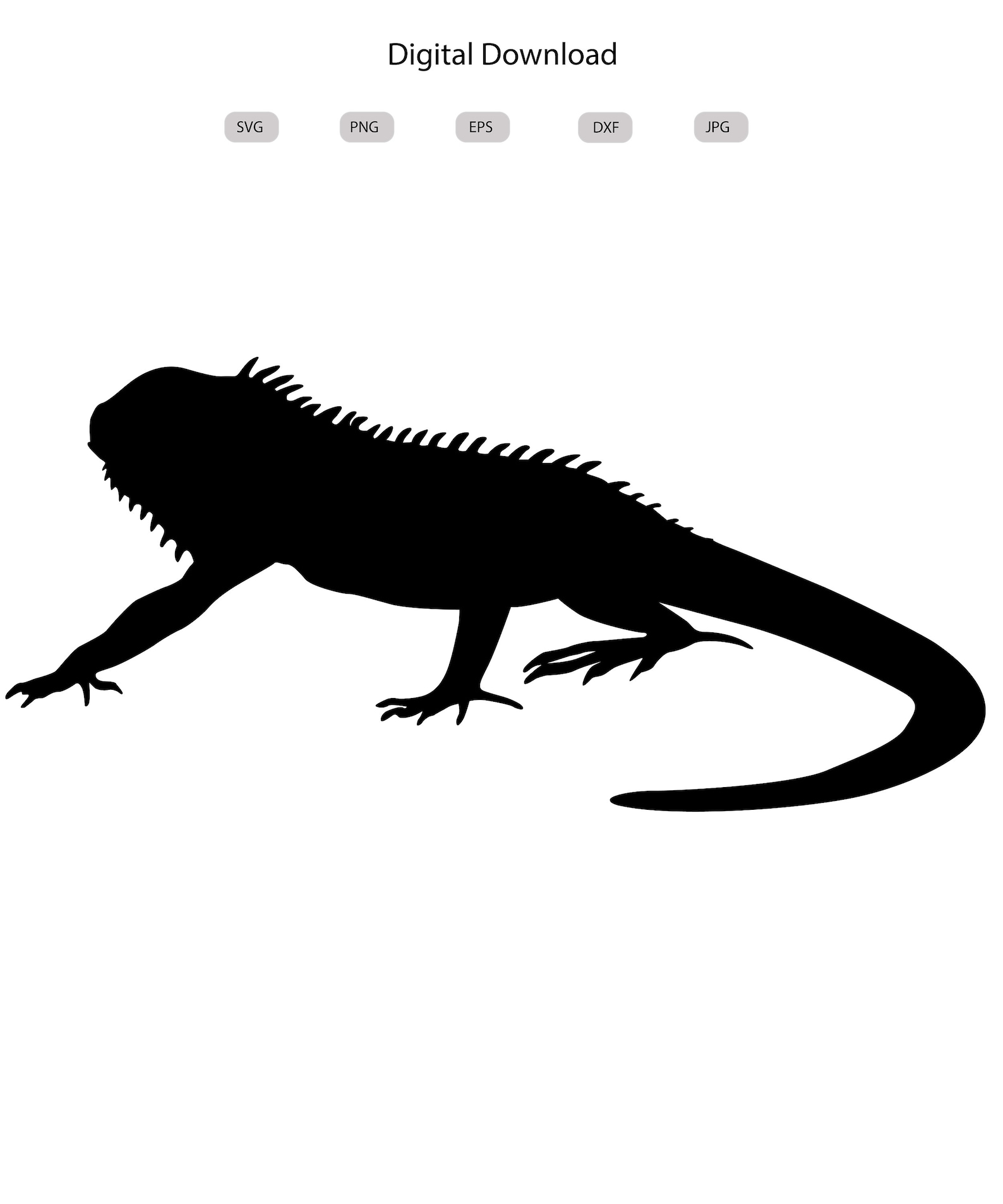 Iguana Svg - Iguana Silhouette - Iguana Svg Bundle -iguana Svg Design ...
