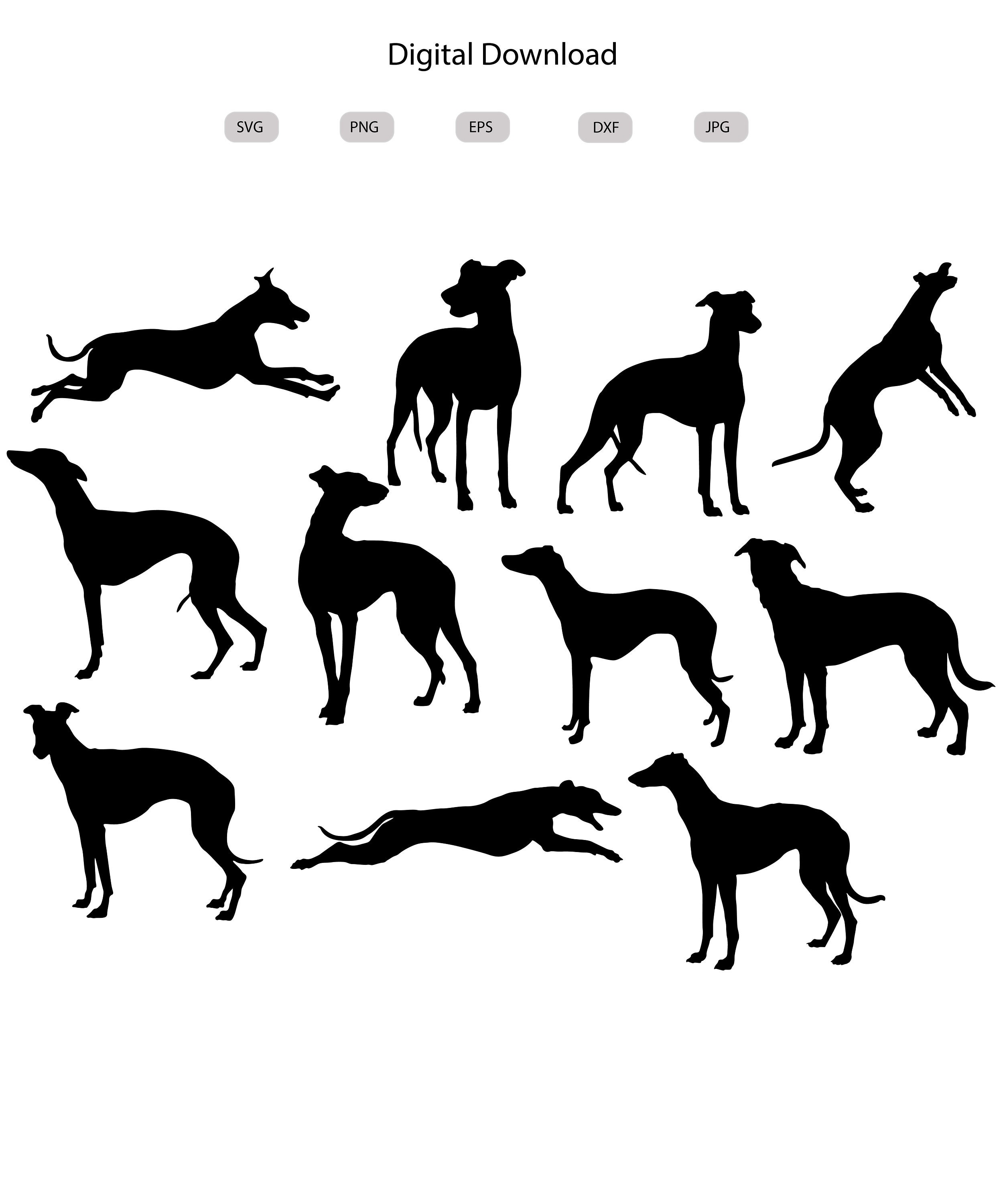 Whippet Dog Svg - Whippet Dog Silhouette - Whippet Dog Cut File ...